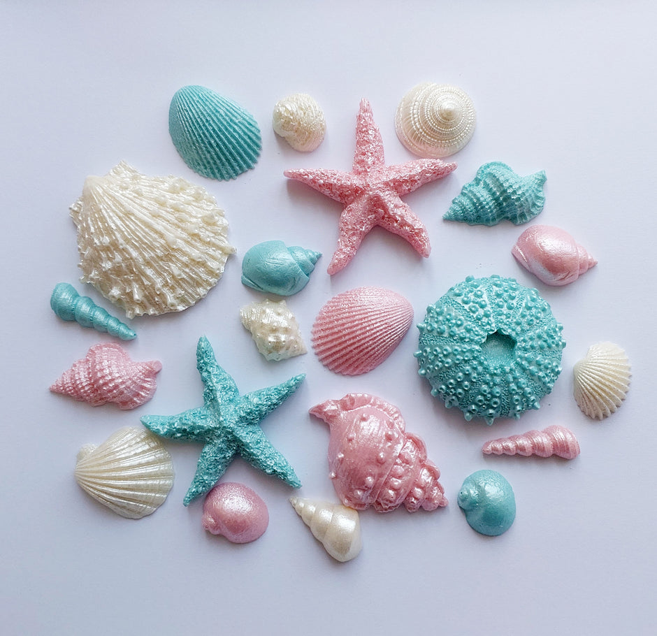 Sea Shells – Cake Candy NZ